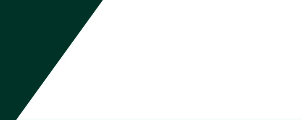 About Us - Wello Solutions | Best FSM Software